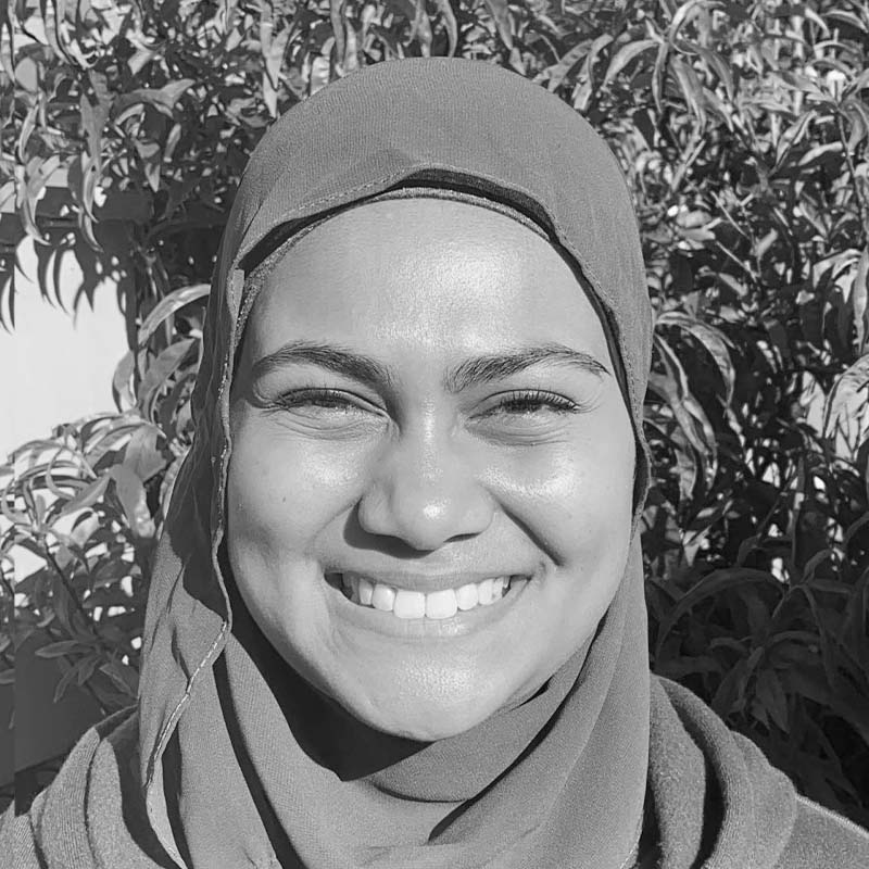 WASM Representatives